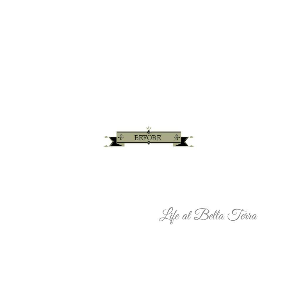 Before Banner | Life at Bella Terra