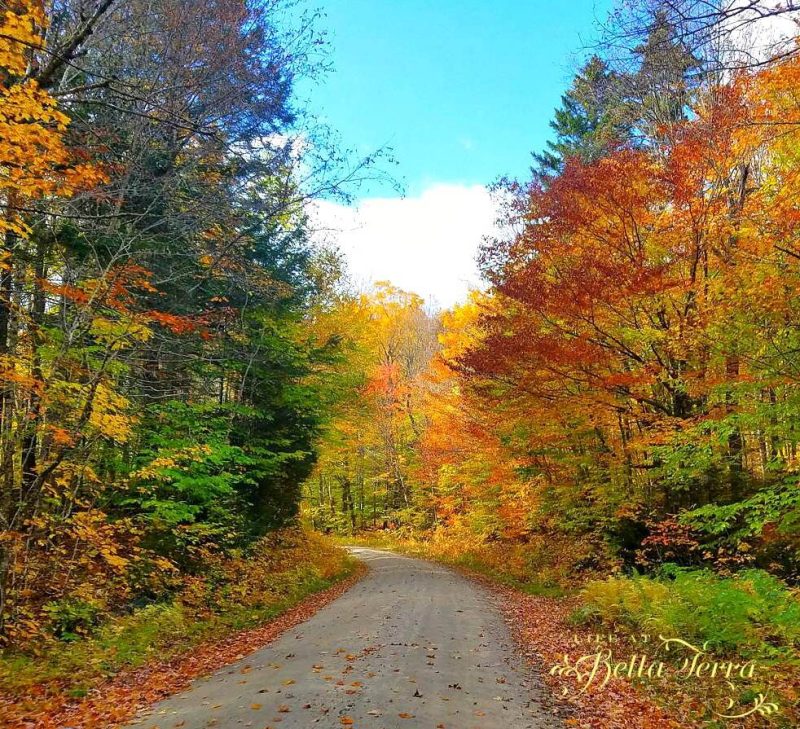 8 Ways to Get in the Fall Mood when it is Still Hot Outside | Life at ...