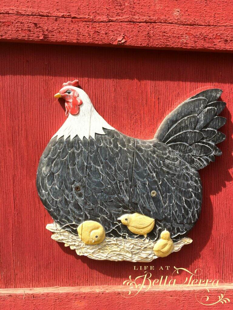 Raising Chickens and Our Custom Henhouse | Life at Bella Terra