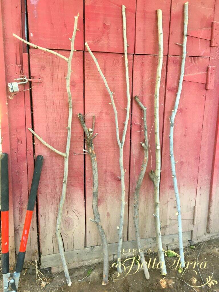 Making Fall Trees - DIY | Life at Bella Terra