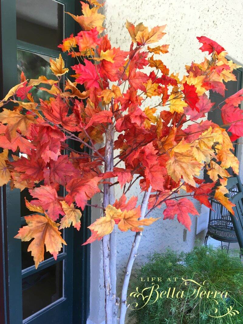 Making Fall Trees - DIY | Life at Bella Terra