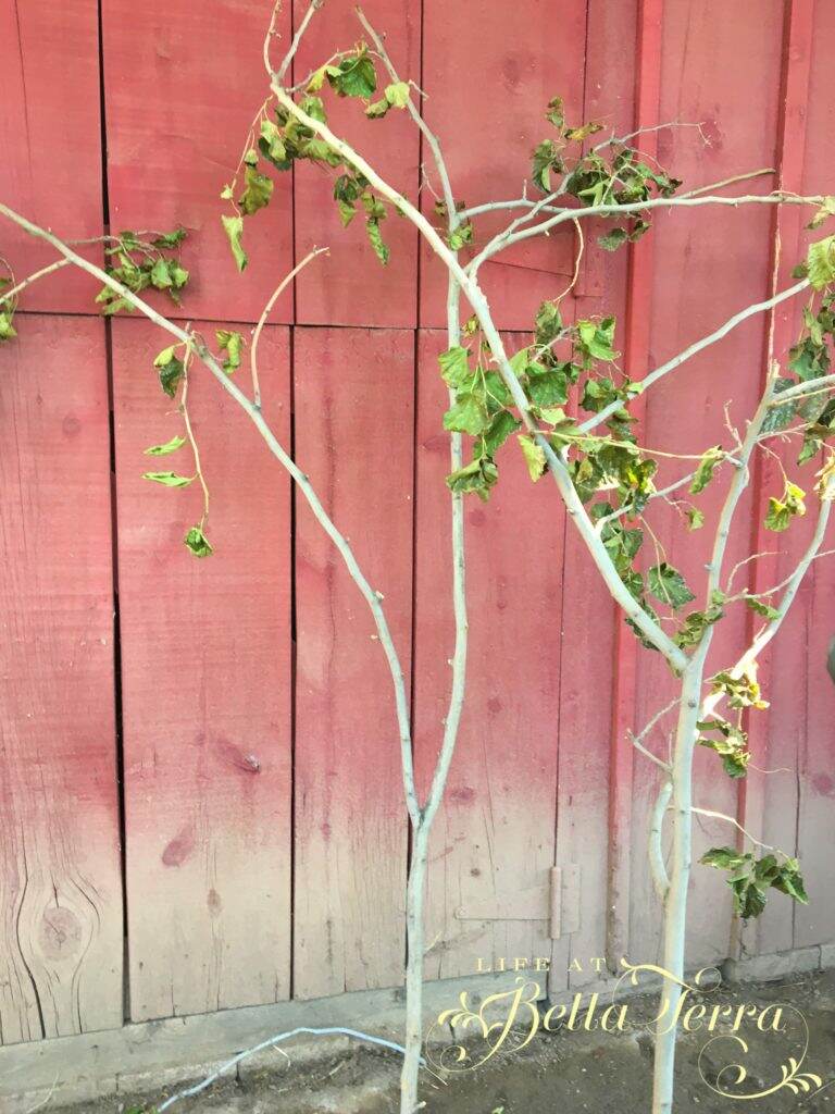 Making Fall Trees - DIY | Life at Bella Terra