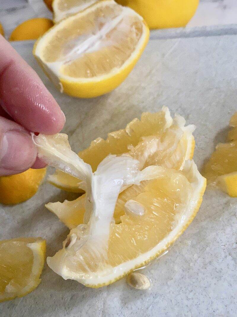 Meyer Lemon Marmalade | Life at Bella Terra