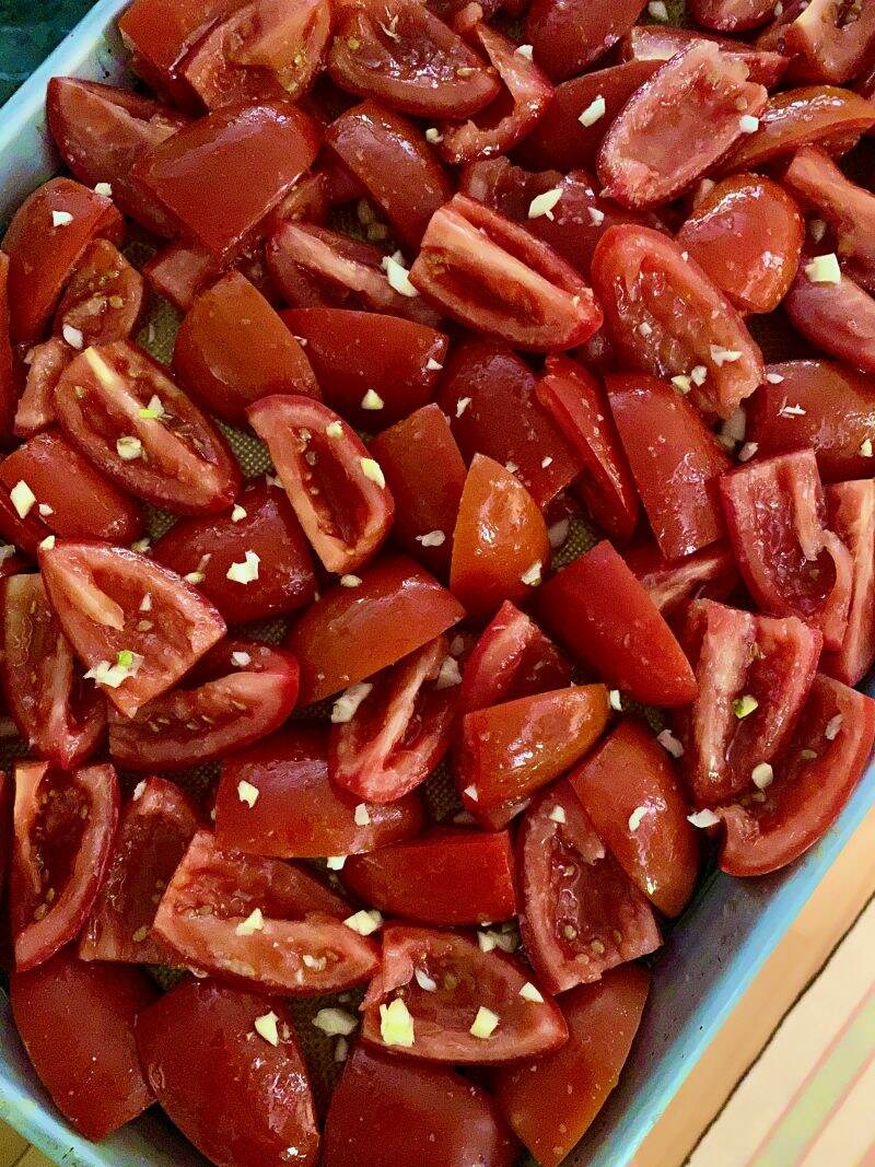 Processing Tomatoes | Life at Bella Terra