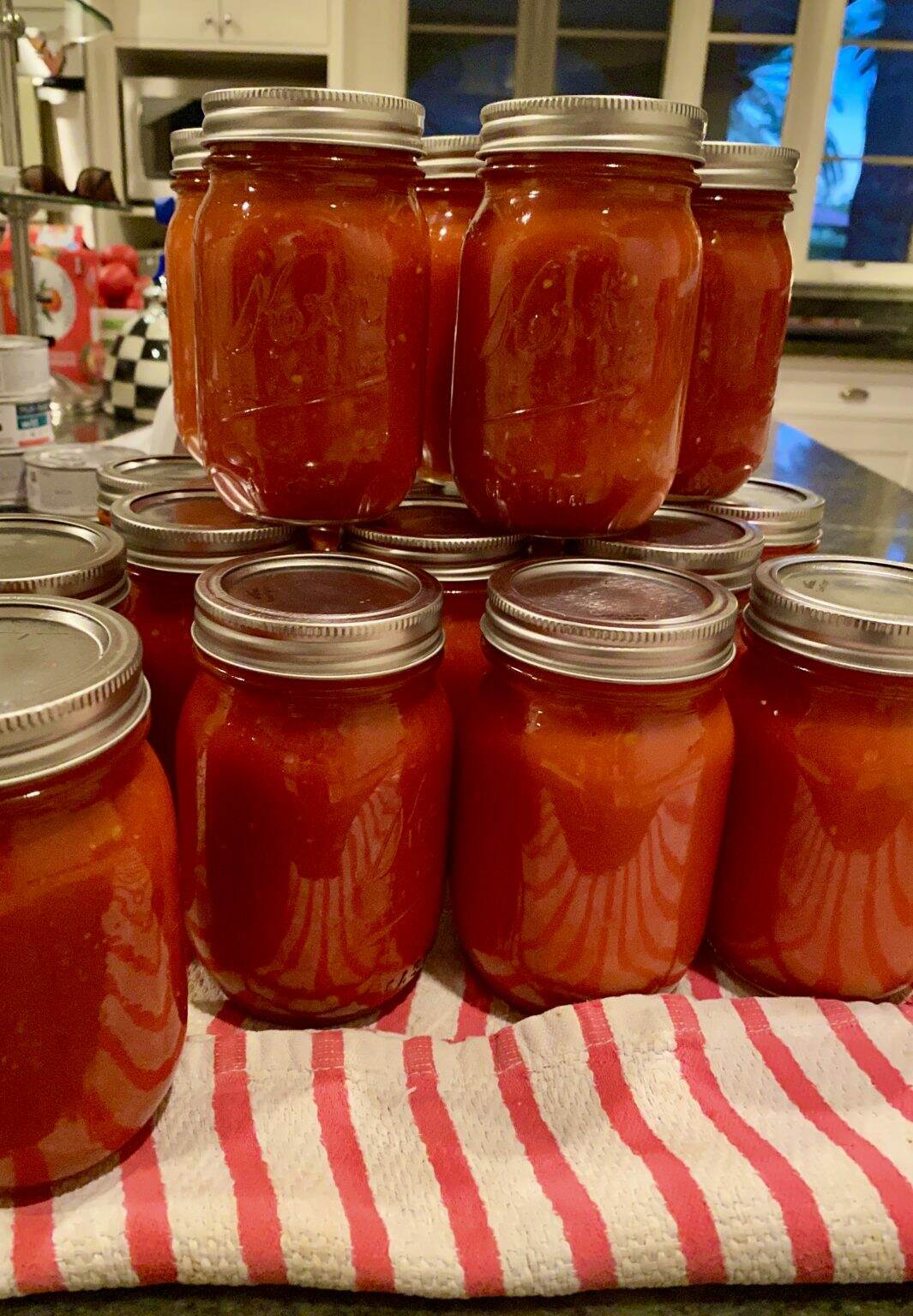 Processing Tomatoes | Life at Bella Terra