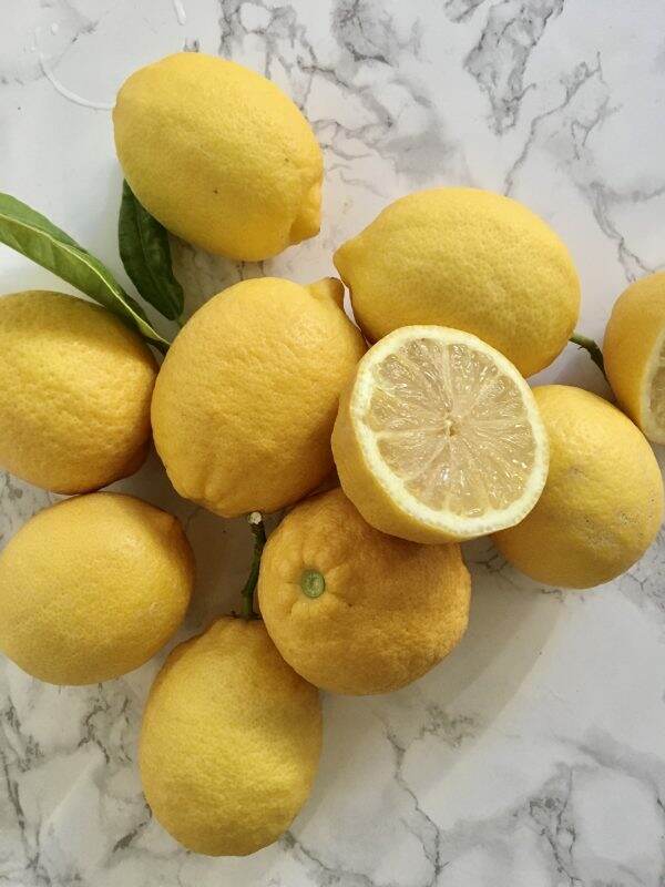 Lemon Love | Life at Bella Terra