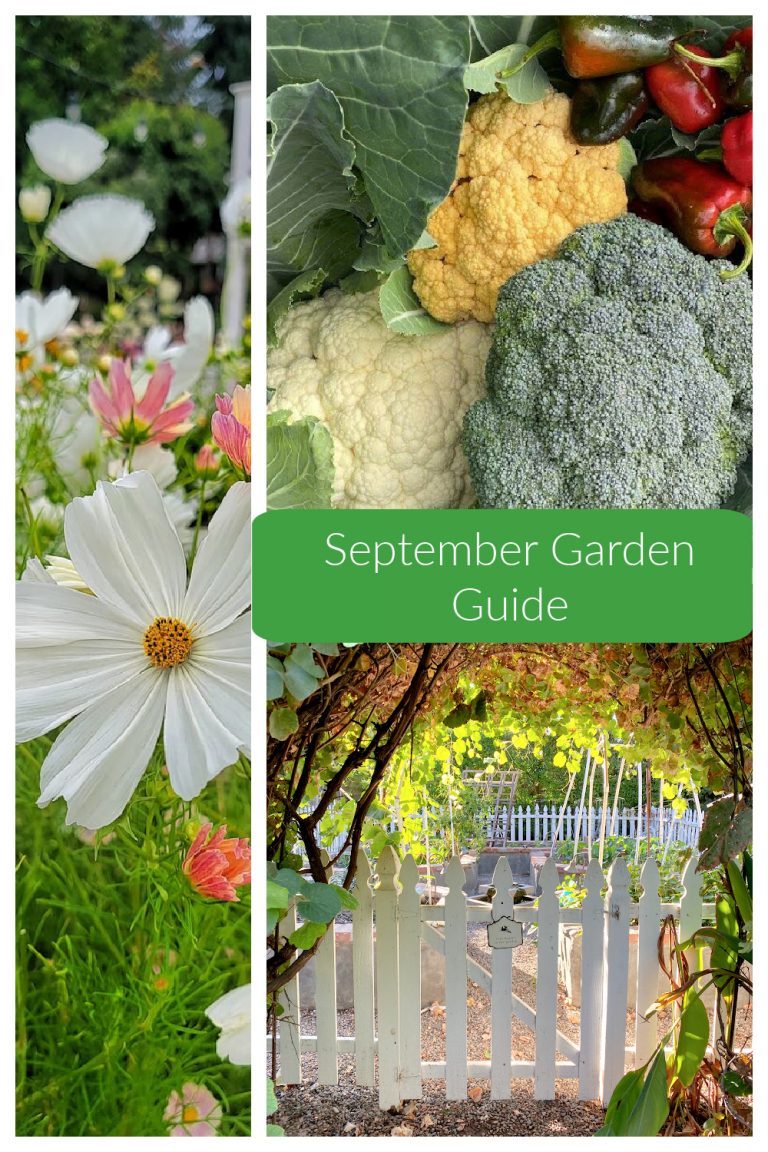 September Garden Guide | Life at Bella Terra