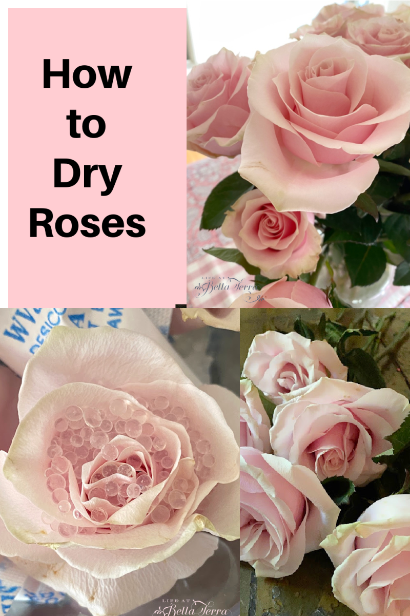 How to Dry Roses | Life at Bella Terra