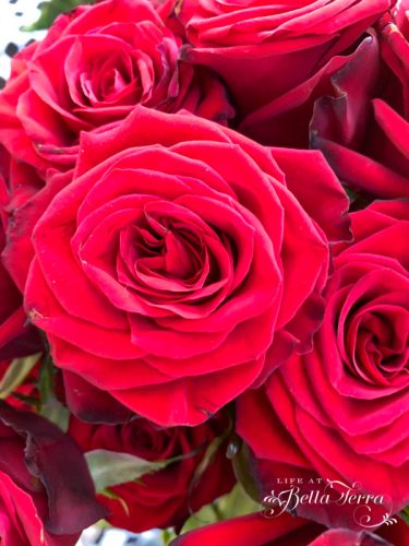 Fresh and Fabulous Ideas and Recipes for your Kentucky Derby Party ...