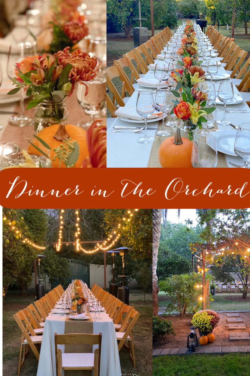Autumn Dinner in the Orchard | Life at Bella Terra