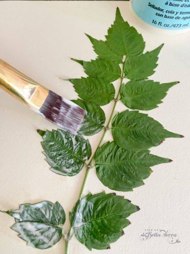 How to Create Botanical Artwork with Supplies On-Hand | Life at Bella Terra