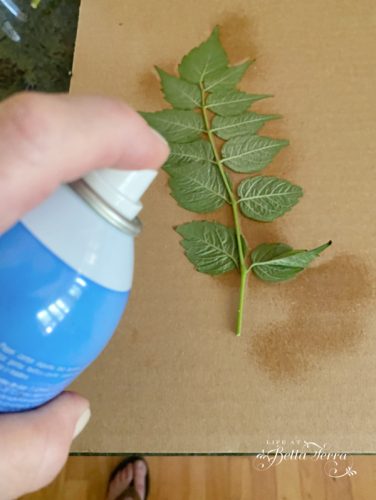 How to Create Botanical Artwork with Supplies On-Hand | Life at Bella Terra