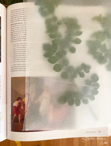 How to Create Botanical Artwork with Supplies On-Hand | Life at Bella Terra