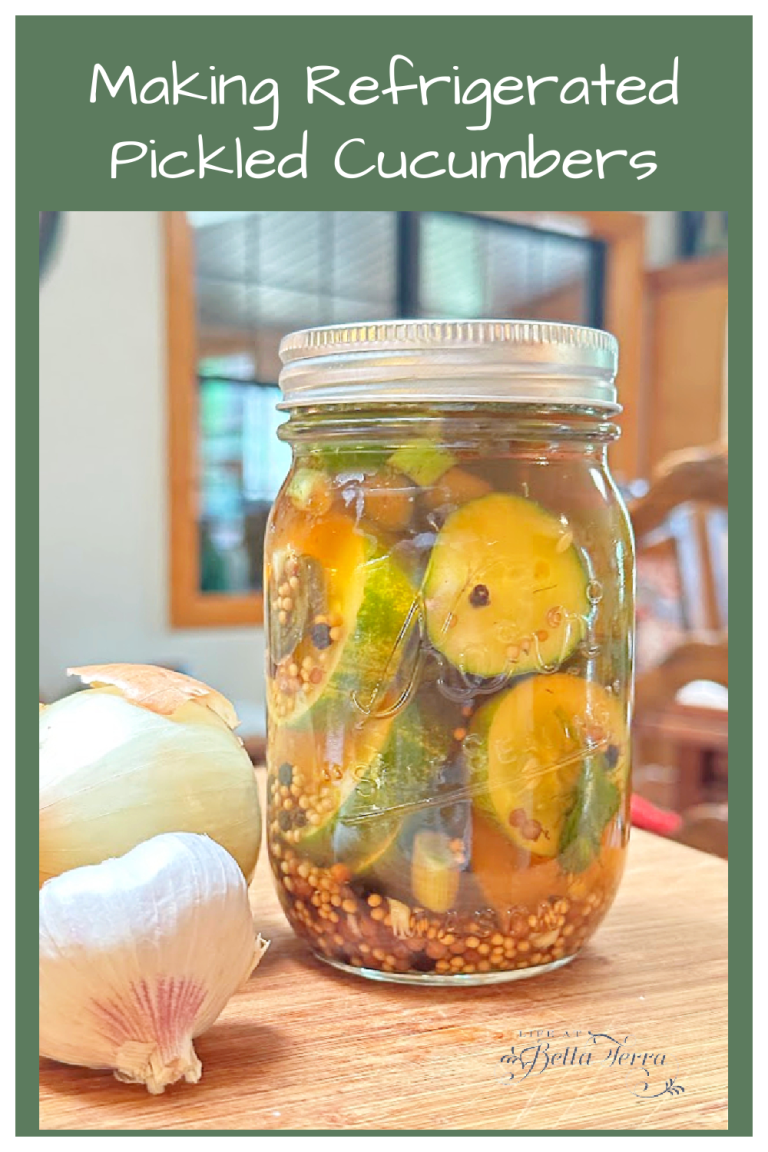 How To Make Quick Refrigerated Pickled Cucumbers | Life at Bella Terra