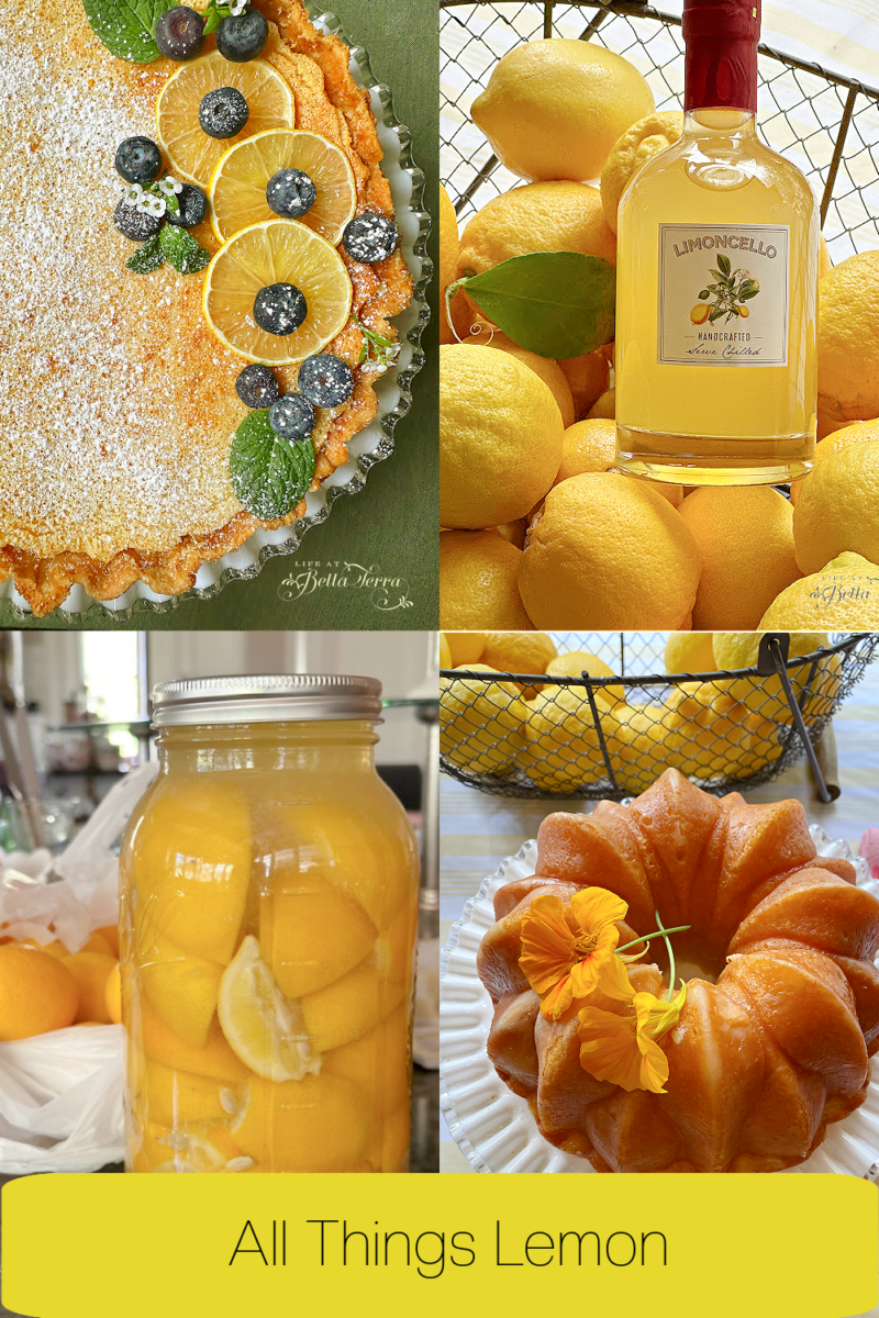 All Things Lemon Class a Sunny Success | Life at Bella Terra