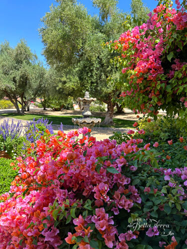 Making Rum Raisin Ice Cream | Life at Bella Terra