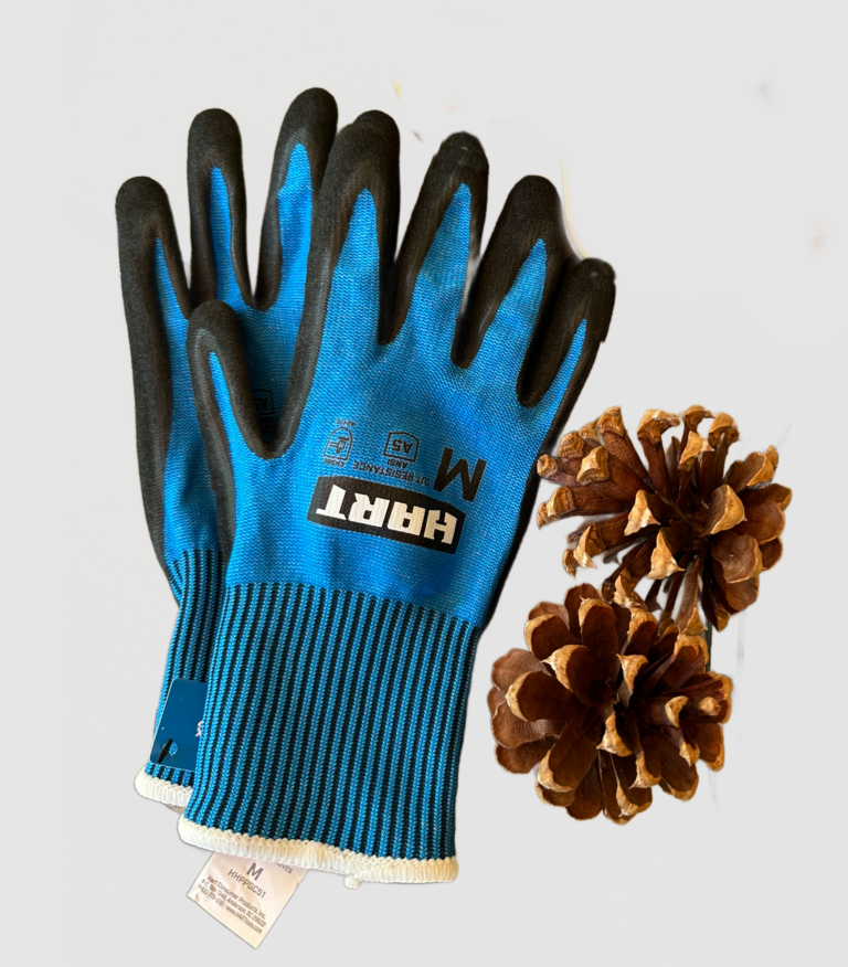 How to Make Your Own Pinecone Fire Starters | Life at Bella Terra